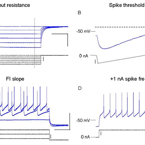 Variability Of Six Conventional Measures Of Intrinsic Excitability Download Scientific Diagram