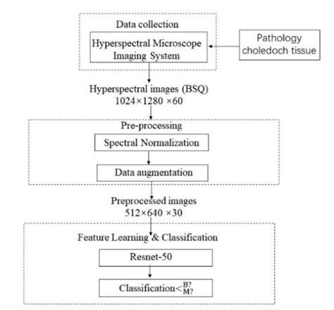 Classification Method Architecture Download Scientific Diagram