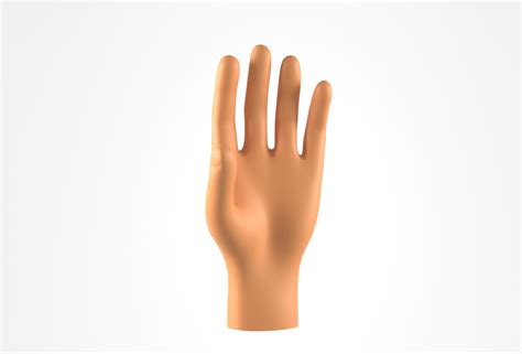 남자 손의 모델 3d 모델 5 Obj Max Free3d