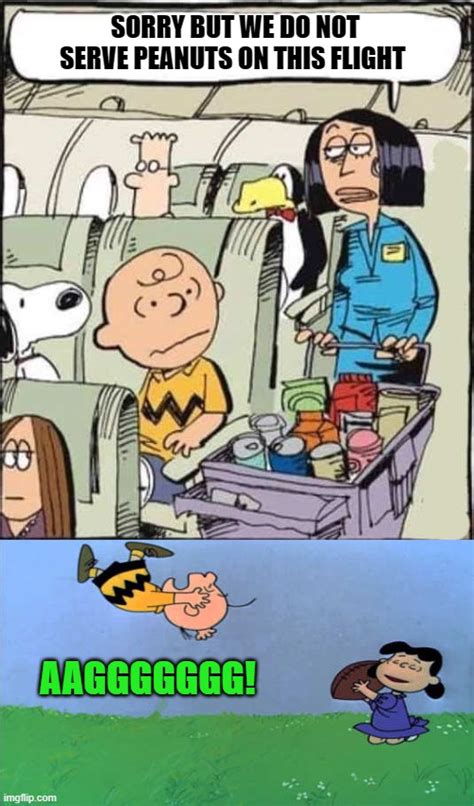 Peanuts Movie Memes At Robert Fabry Blog