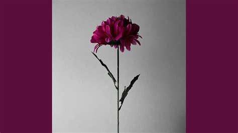 Having Trouble Downloading Certain Music R4kdownloadapps