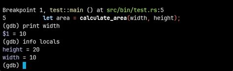 Troubleshooting Rust Web Applications Shuttle