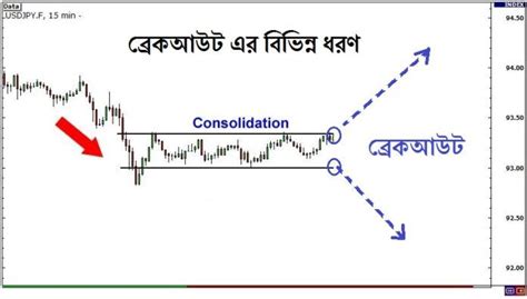 Breakout Types বরকআউট টরড এর বভনন ধরণ সমপরক বসতরত