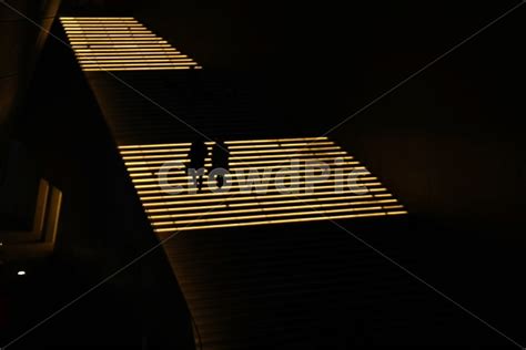 Ddp 동대문 서울 계단 빛 사진 이미지 일러스트 캘리그라피 Nba작가