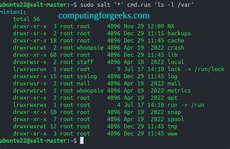 How To Install Salt Master And Minion On Ubuntu ComputingForGeeks