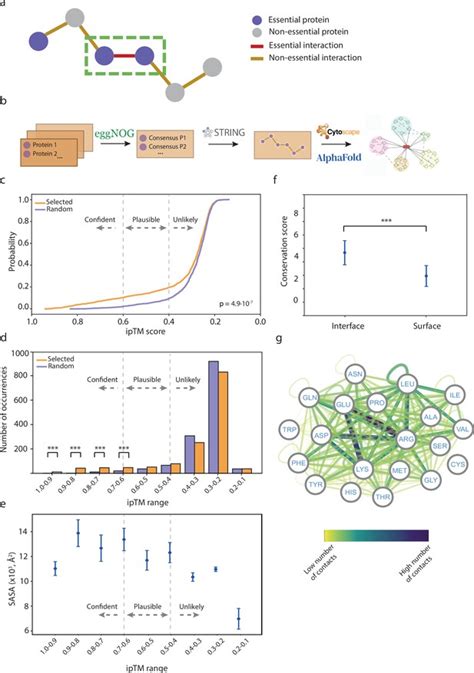 Structural Assembly Of The Bacterial Essential Interactome Elife