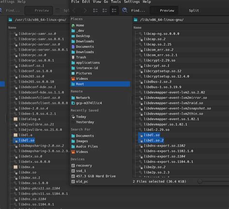 Dllnotfoundexception On Linux Dont See Libdlso Unity Engine Unity Discussions