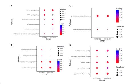 Dot Plots Of Pathway Enrichment Analysis Using Annotations Of A