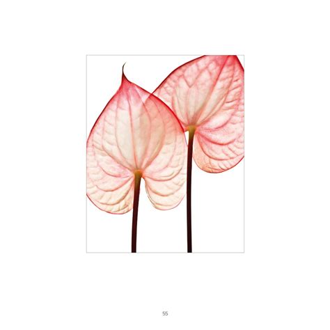 Store — Polina Plotnikova Photography