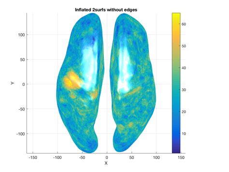 Demo Fmri Surface Based Searchlights With Lda Classifier
