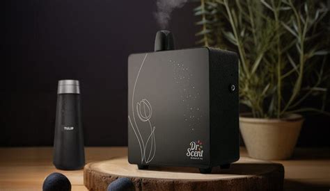 Dr Scent Premium Aroma Oils And Diffusers For You