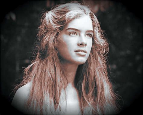 Brooke Shields Gary Gross Download Brooke Shields Gary Gro Erofound