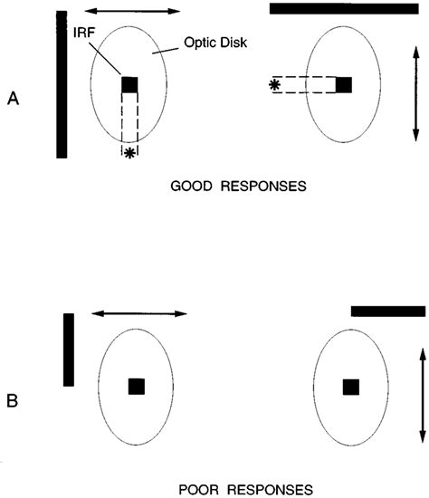 Completion Neurons And Interpolated Receptive Fields Cell Responses In Download Scientific