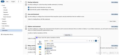 【神兵利器】——207、burpsuite之jsondecodeburp Jsondecode Csdn博客