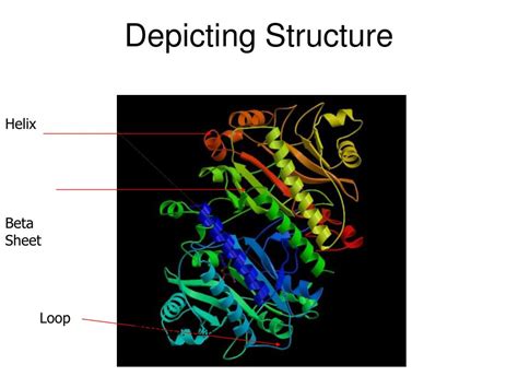 PPT Protein Structure PowerPoint Presentation Free Download ID 890554