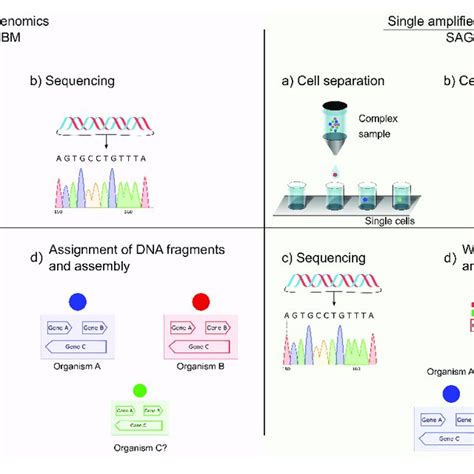 Schematic Comparison Of Sequence Based Metagenomics Sbm And Single