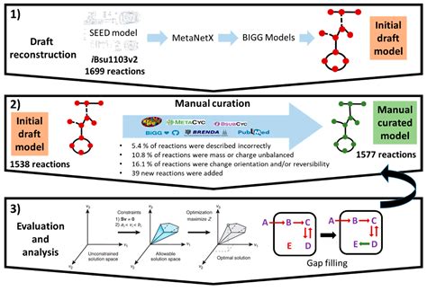 New Insights On Metabolic Features Of Bacillus Subtilis Based On Multistrain Genome Scale