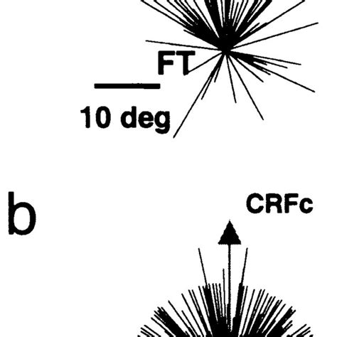 Population Analysis Of Direction Of Saccade Vectors That Download