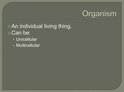Hierarchy Of Biology Additional Notes Pptx Biological Sciences