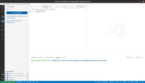 Python Debugger Not Working On Remote · Microsoft Vscode Python · Discussion 18836 · Github