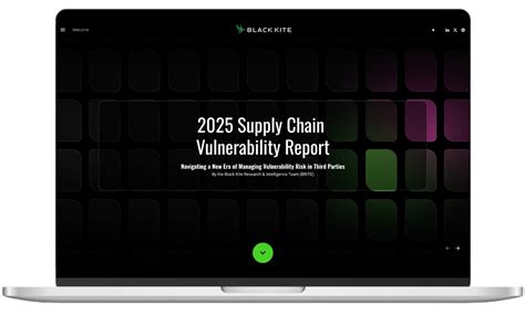 Welcome 2025 Supply Chain Vulnerability Report