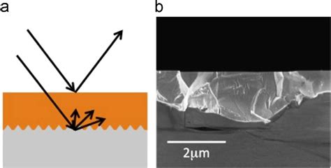 A Schematic And B Cross Sectional Scanning Electron Micrograph Of