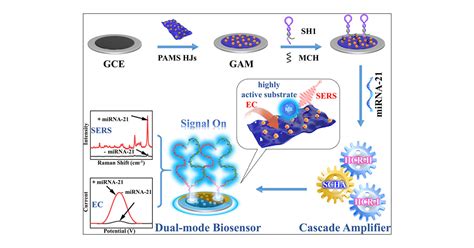 Polyhedral Au Nanoparticlemoox Heterojunction Enhanced Ultrasensitive