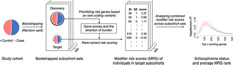 Statistical Framework To Examine The Aggregate Effects Of Modifier Rare