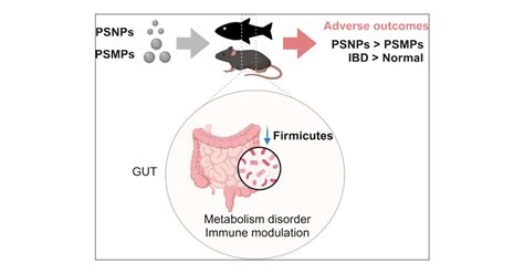 Distinct Effects Between Polystyrene Micro And Nanoplastics