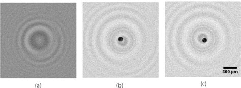 Figure 2 From Dual Wavelength Digital Holography For 3d Particle Image Velocimetry Semantic