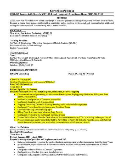 Sd Sample Resume 5 Pdf Business Process Sales