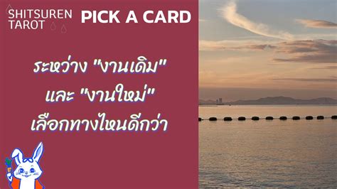 Pick A Card งานเดิม หรือ งานใหม่ เลือกงานไหนดีกว่า [ep 111] Youtube