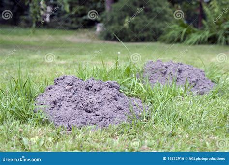 Molshopen Stock Foto Image Of Ochtend Nationhood Begraven 15522916