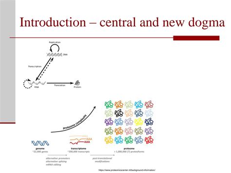 Solution Bioinformatics Proteomics Class Ppt Studypool Solution Bioinformatics Proteomics Class Ppt Studypool