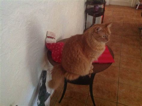 Python Lesson 42 Intro To Computer Vision Part One Reading Images Ai Pt 8 Michaels