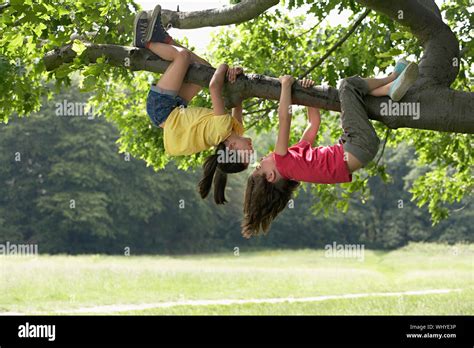 Girl Hanging Upside Down From A Tree