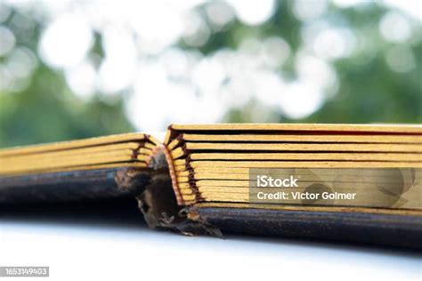 두꺼운 오래된 책 페이지 빈티지 책 골동품 앨범 오래된 가족 사진 빈티지 앨범 홈 아카이브 문서 가계도 족보 조상의 기억 구식 스냅 샷 복고풍 미학 이야기하기에 대한 스톡