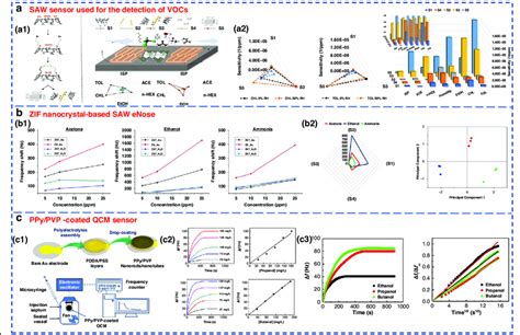 Examples Of Saw And Qcm Sensors A Saw Sensor Used For The Detection Of