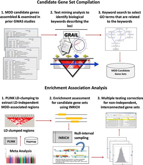 Multi Locus Association Analysis Procedure For Major Depressive