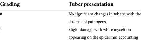 Grading Criteria For Rotting Disease In Stored Jerusalem Artichoke