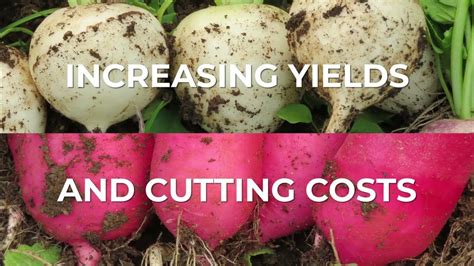 Data Analytics Youtube