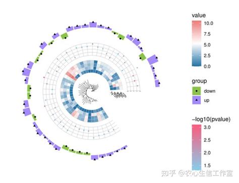 画最美的进化树：ggtreeextra包进阶使用实例 知乎
