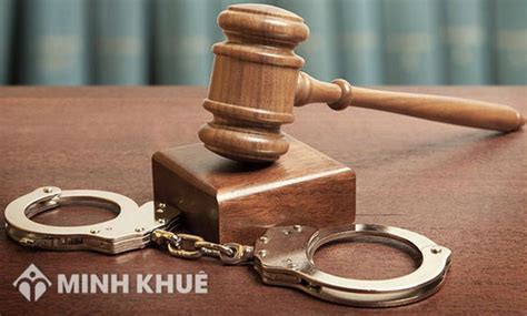 Những điều Cần Biết Về Ngành Pháp Luật Là Gì Trong Hệ Thống Pháp Luật