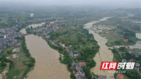 视频丨湖南新田：遭遇强降雨 多个乡镇农作物受灾受灾乡镇湖南