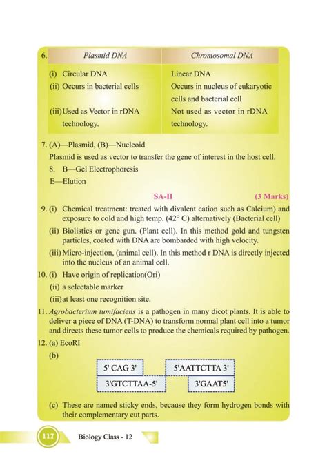 Biotechnology Principles And Processes Notes For Class 12 Biology Pdf Oneedu24