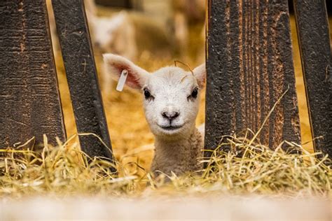 Terratest Automating Infrastructure Testing Garbage Value