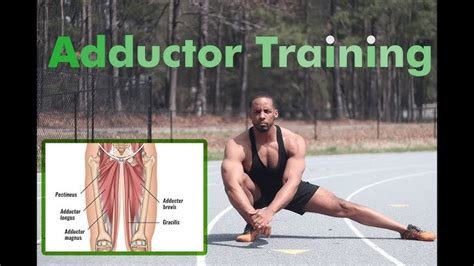 Abductor Muscle Exercises