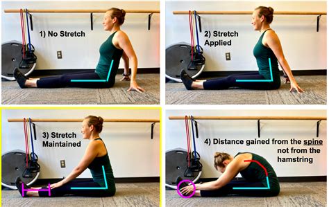 Hamstring Muscle Stretch