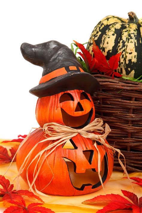 무료 이미지 잎 가을 주황색 칸델라 상징 호박 할로윈 휴일 목적 시즌 미소 얼굴 삽화 장식적인 제철의 십월 전통적인 3333x5000