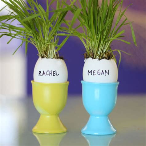 The Wonders Of Wheatgrass 5 Decorating Ideas For Your Spring Table Ehow